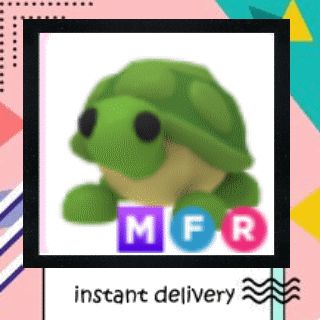 Pet | MFR TURTLE - Game Items - Gameflip