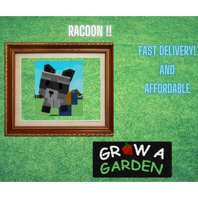RACOON - Other Game Item - Gameflip