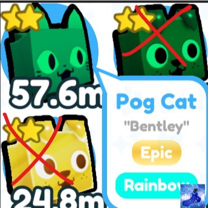 Pet | Rainbow Pog Cat - Game Items - Gameflip