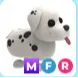 MFR Dalmatian - Adopt Me Game Items - Gameflip