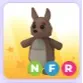 NFR Kangaroo - Adopt Me Game Item - Gameflip