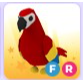 Parrot - Adopt Me Game Item - Gameflip