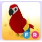 Parrot - Adopt Me Game Item - Gameflip