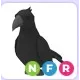 NFR Crow - Adopt Me Game Item - Gameflip