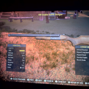 Weapon | NW Double Barrel Shotty - Game Items - Gameflip