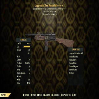Weapon | JUG5025 Radium Rifle - Game Items - Gameflip