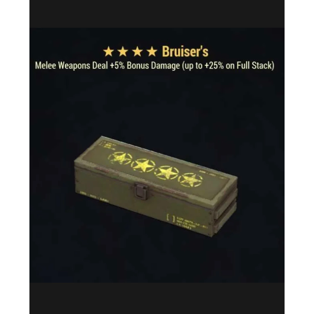 Bruiser Mod - Fallout 76 Game Items - Gameflip