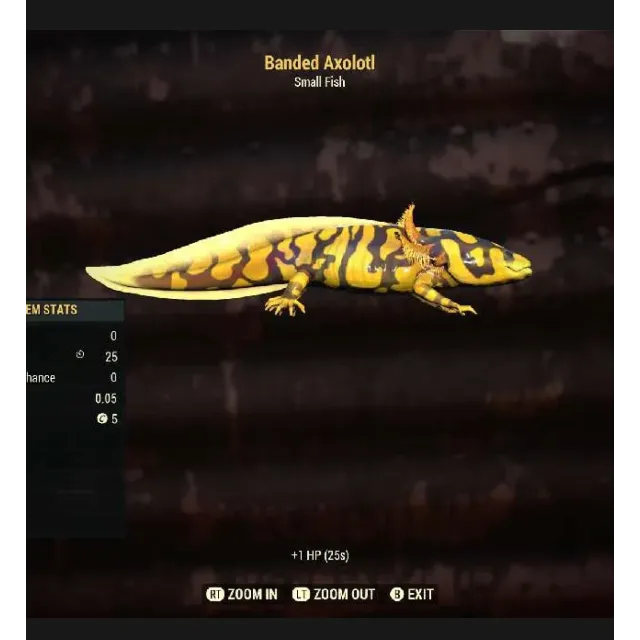 Banded Axolotl - Bobblehead: Leader Game Item - Gameflip