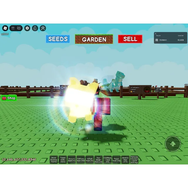 Ascended raccoon - Grow a Garden Game Item - Gameflip