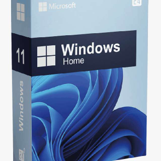Windows 11 Home License Key - instant Delivery - Other Gift Cards ...