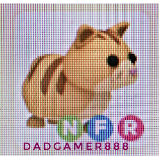 Pet | Neon Ginger Cat NFR - Game Items - Gameflip