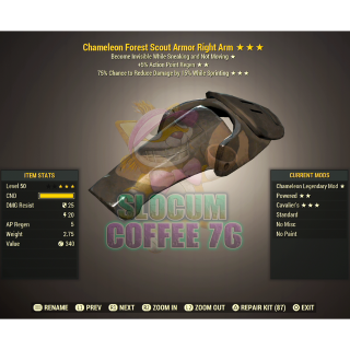 CHAME/AP/CAV Forest Scout Right Arm - Game Items - Gameflip