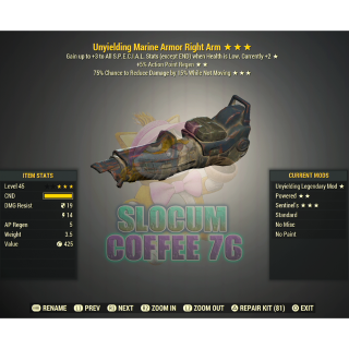 UNY/AP/SENT Marine Armor Right Arm - Game Items - Gameflip