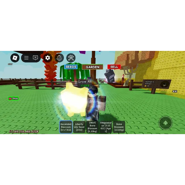 ASCENDED RACCOON - Other Game Item - Gameflip