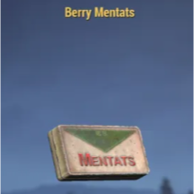 Aid | x100 Berry Mentats - Game Items - Gameflip