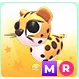 MR CHEETAH - Adopt Me Game Item - Gameflip
