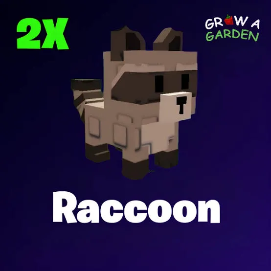 2x Racoon - Other Game Item - Gameflip