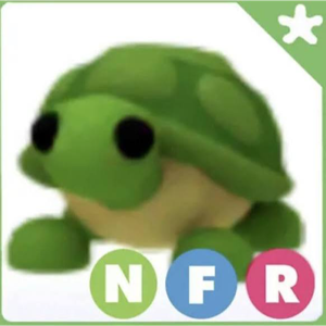 Pet | NFR TURTLE - Game Items - Gameflip