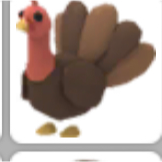 Pet | Adopt Me Turkey - Game Items - Gameflip