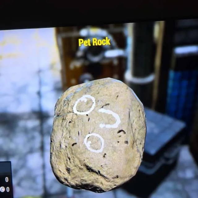 Pet Rock - Fallout 76 Game Item - Gameflip