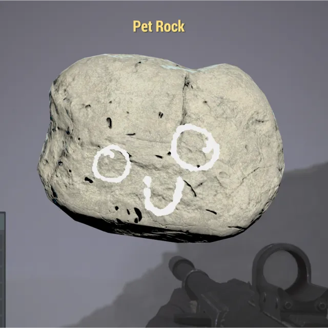 Pet 🪨 Rock - Fallout 76 Game Item - Gameflip