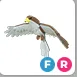 hawk FR - Adopt Me Game Items - Gameflip