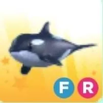 Pet | Orca FR - Adopt Me Game Items - Gameflip