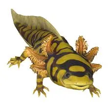 BANDED AXOLOTL - Fallout 76 Game Item - Gameflip