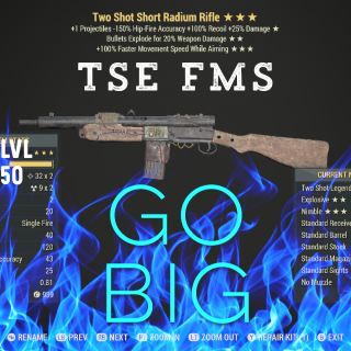 TSE Fms Radium Rifle - Game Items - Gameflip