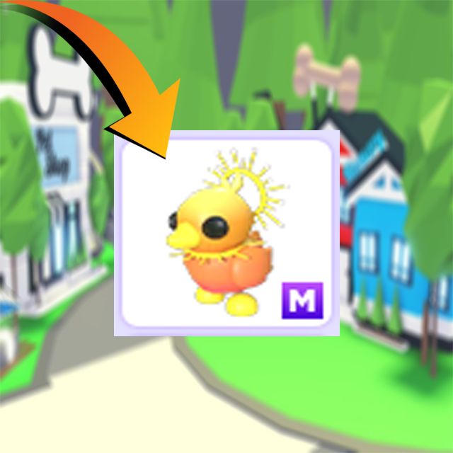 Mega Sunrise Duckling - Game Items - Gameflip Mega Sunrise Duckling - Game Items - Gameflip
