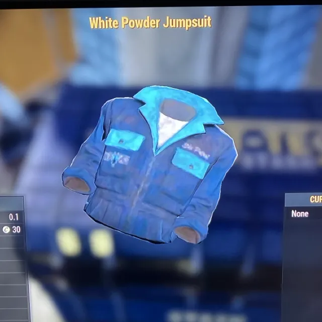White Powder Jumpsuit - Fallout 76 Game Item - Gameflip