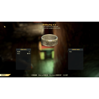 Apparel | AP/FWR ring - Game Items - Gameflip