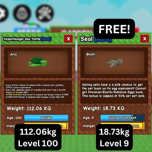 GODLY HYPERHUNGER SEA TURTLE [112.06kg | 2729.21 EXP per 20s] + FREE ...