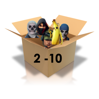 Bundle | fortnite random acc 2-10 - Game Items - Gameflip