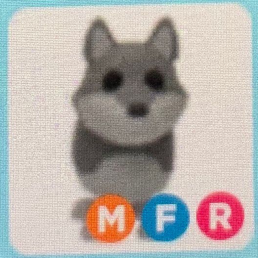 Pet | MFR WOLF ADOPT ME - Game Items - Gameflip