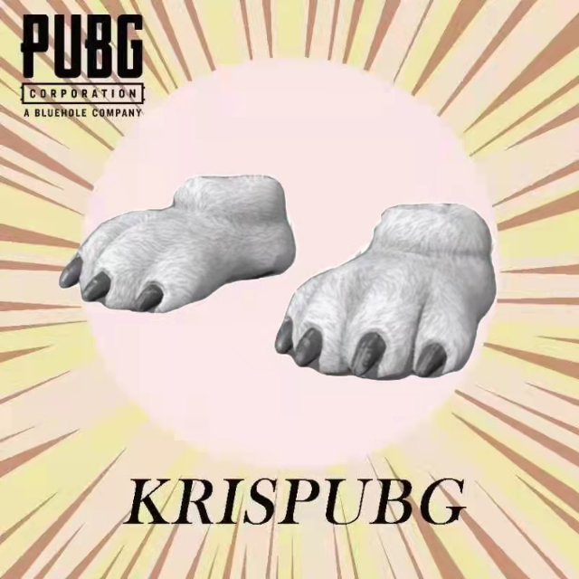 PUBG | Polar Bear Feet - PLAYERUNKNOWN'S BATTLEGROUNDS Game Items ...