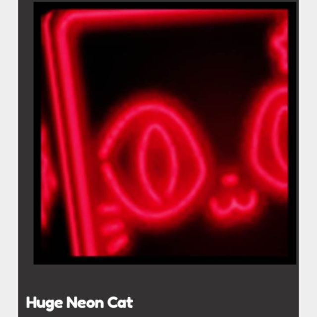 Huge Neon Cat - Game Items - Gameflip